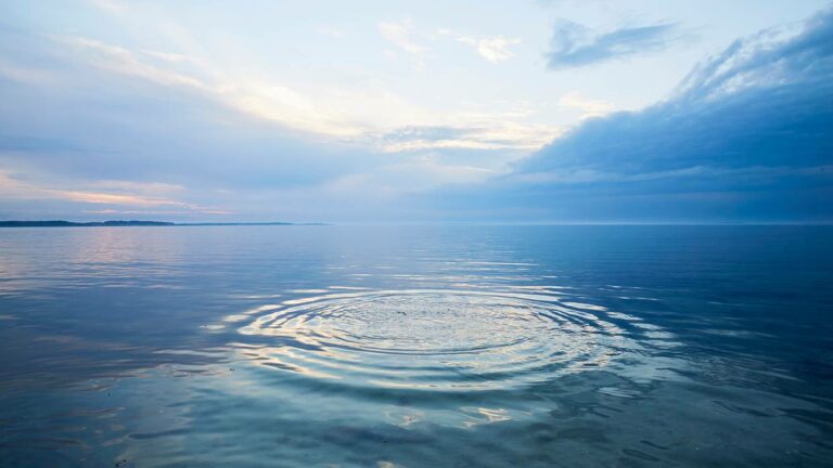 The month of Shevat: Filling the Bucket