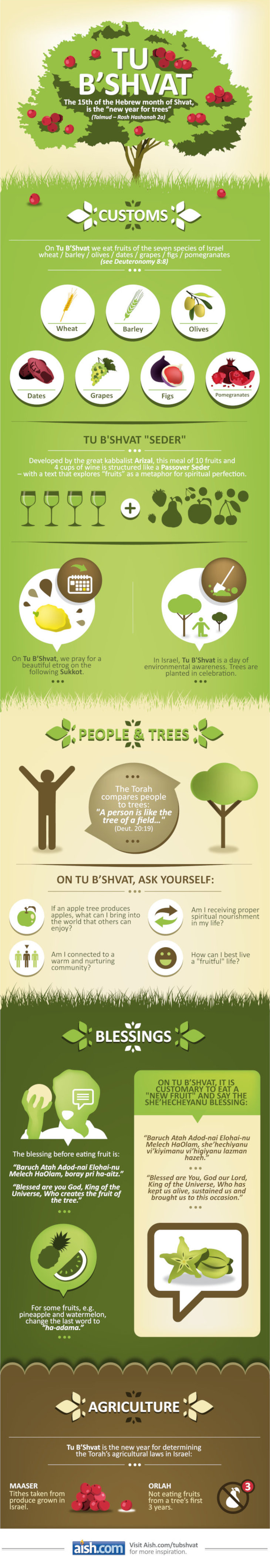 Tu B’Shvat Infographic | Aish