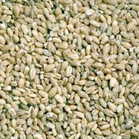 9. Introduction to Mezonot | Aish