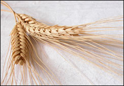 9. Introduction to Mezonot | Aish