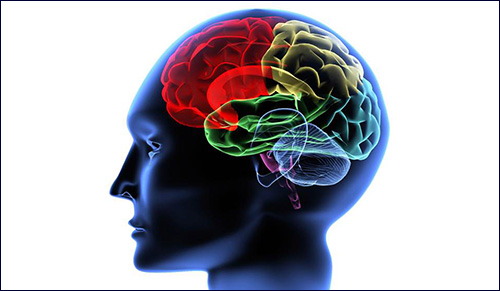 Brain Scams | Aish