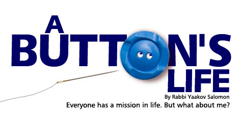 A Button's Life | Aish