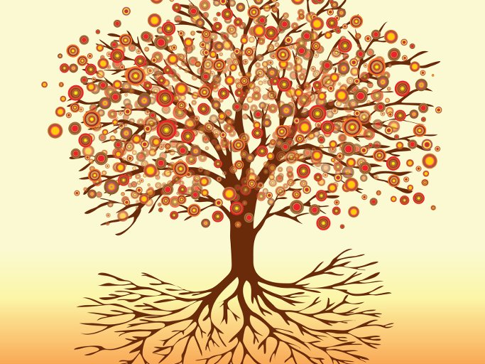 Rabbi Ari Kahn | Author at Aish.com