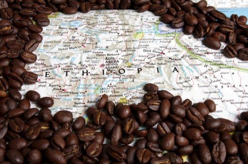 Jews and Coffee: 8 Little-Known Facts | Aish