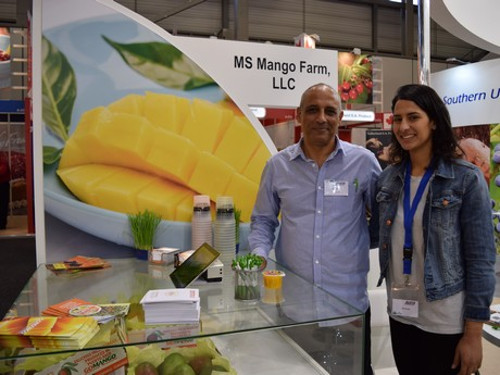 Jews and Puerto Rico: 7 Facts | Aish