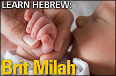 Learn Hebrew: Brit Milah, Brit Milah ceremony