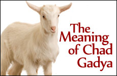 The Meaning of Chad Gadya | Aish