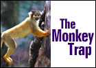 The Monkey Trap | Aish