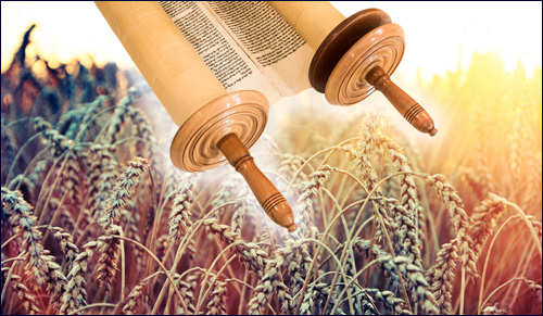 Shavuot: Why Isn’t the Day Mentioned in the Torah? | Aish