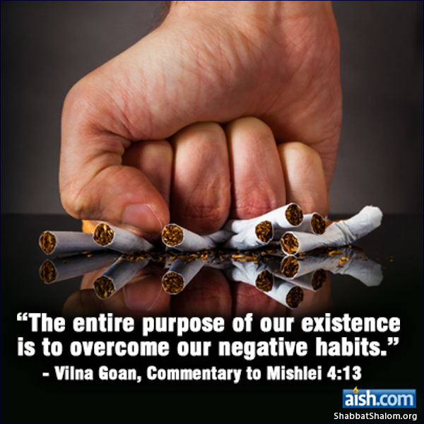 The Entire Purpose Of Our Existence | Aish