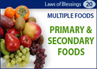 20. Primary and Secondary Foods | Aish