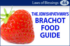 44. The Aish Academy Brachot Food Guide | Aish