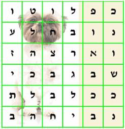 Learn Hebrew: Dogs | Aish