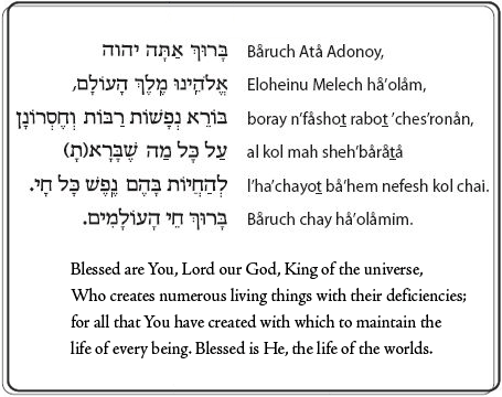 32. Which Bracha Achrona to Say | Aish