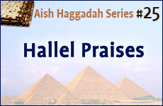 The Haggadah | Aish.com