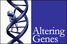 Altering Genes | Aish