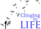 Clinging to Life | Aish