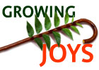 Growing Joys | Aish