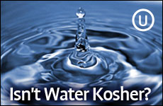 Why Do Jews Eat Kosher? | Aish