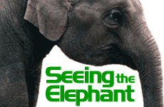 Seeing the Elephant | Aish