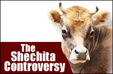 The Shechita Controversy | Aish