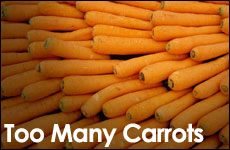 Too Many Carrots | Aish