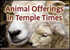 Animal Offerings in Temple Times | Aish