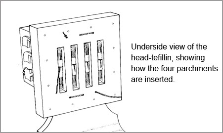 Tefillin (phylacteries), How to put on Tefillin