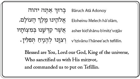 Tefillin (phylacteries), How to put on Tefillin