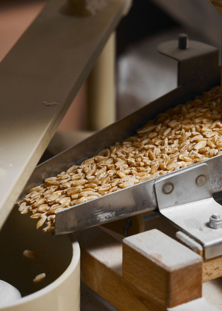 How This 6 Generation Bread Baker Brought Back Israel’s Ancient Grains ...