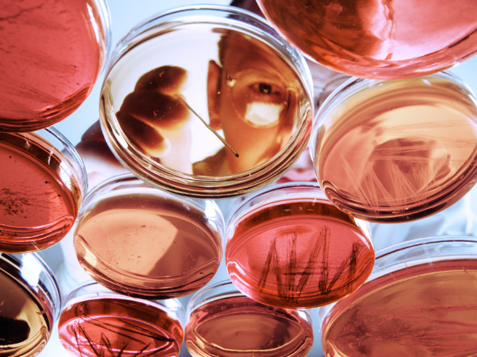 Peter van Inwagen | Author at Aish.com