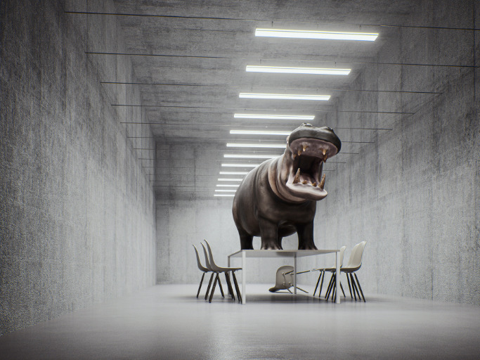 Sarah Pachter | Author at Aish.com