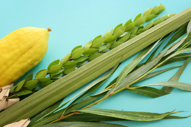 The Four Species: A Personality Map of Sukkot | Aish