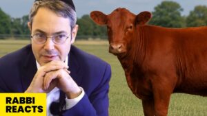 Why Hamas, Carlson and Owens Are Frightened of a Red Heifer | Aish